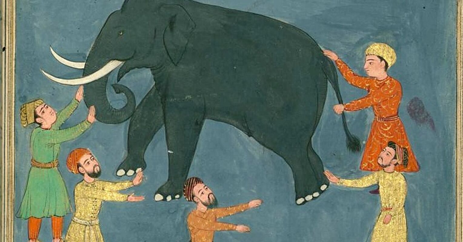 Describing the Elephant in the Room – Bone of Bones